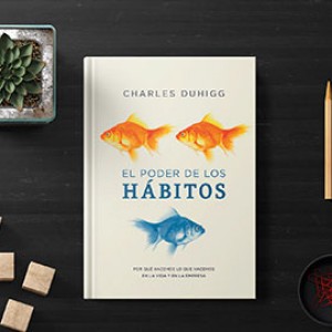 El poder de los hábitos